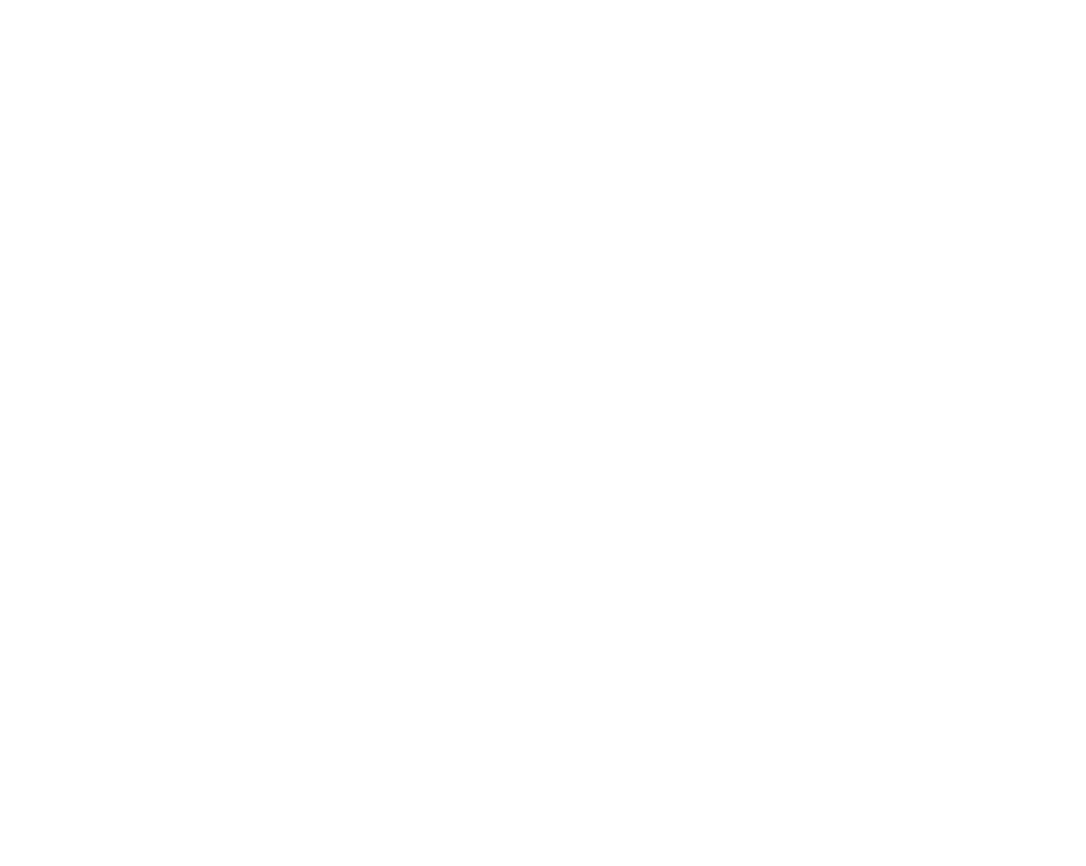 Merit Foods